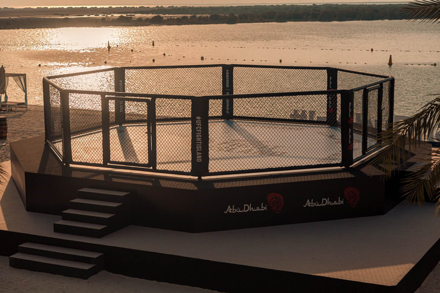 Everything you need to know about UFC Fight Island - BudoDragon